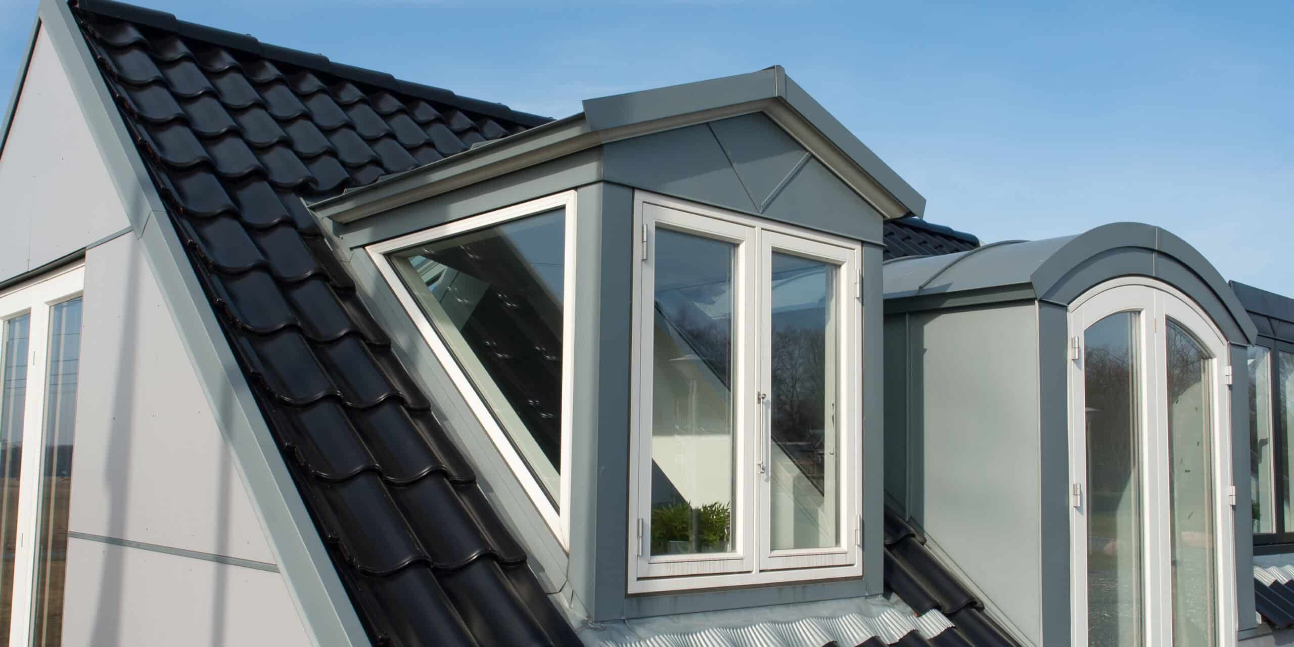 Chien assis : Avantages et prix [+ points d'attention]